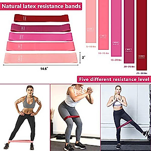 Yoga Wheel Set (11-in-1),Yoga Wheel Back Wheel for Back Pain, Yoga Blocks 2 Pack with Strap, Resistance Bands,Yoga Wheel Bag, Perfect Yoga Accessory for Stretching and Improving Backbends (Grey)