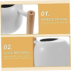 FUNOMOCYA Plant Watering Pot Watering Kettle Succulent Tools Upholstery Tools Stainless Steel Spray Bottle Plant Watering Kettle Metal Watering Can Gardening Watering Can Watering Can Vase