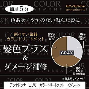 EVERY Hair Color Treatment - Gray