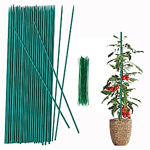 17" Green Bamboo Sticks,Garden Wood Plant Stakes,Floral/Orchid/Tomato Wooden Stakes Plant Support Stakes Wooden,Wooden Sign Posting Garden Sticks(30pcs)
