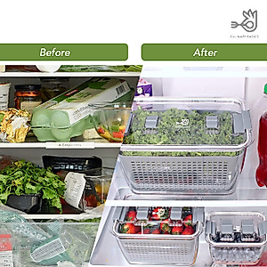 Fruit Storage Containers for Fridge Produce Saver Container for Refrigerator Vegetable Lettuce Keeper Organizer Food Berry Bin with Lid