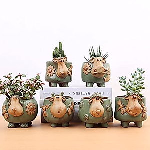 Small Succulent Pots,Succulent Garden Planters,Handicraft Creative Flower Decoration Ornaments,Cute Donkey Ceramic Flower Succulent Pot with Drainage,Suitable for Flower Shops,Home Life,Cafes