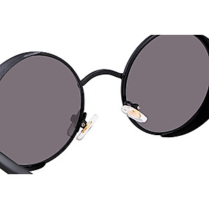 FEISEDY Retro Gothic Steampunk Sunglasses Round Metal Frame Punk Circle Inspired Shade Men B1857