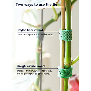 LE TAUCI Plant Ties, Garden Tape for Plant, Reusable Adjustable Thicker Support for Growing, Strong Grip, Tomato Vines Indoor Outdoor, Gardening Gifts for Men (25 ft x 0.47 Inch, 1 roll, Green)