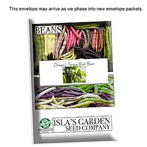 Dragon's Tongue Bush Bean Seeds for Planting, (Dragon Langerie), 25+ Heirloom Seeds Per Packet, (Isla's Garden Seeds), Non GMO Seeds, Scientific Name: Phaseolus vulgaris, Great Home Garden Gift