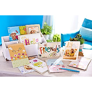 American Greetings Friendship Cards, Assorted (12-Count)