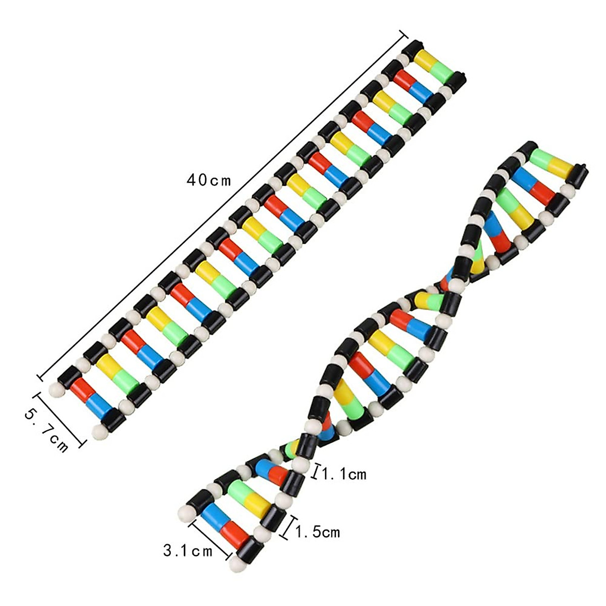 iplusmile DNA Models Double Helix Structure Models DNA Double Helix Modesl Kit Biological Science Popularization Teaching Aids for DNA Assembling
