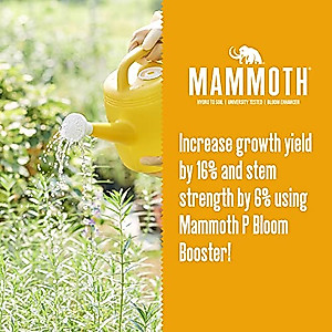 Mammoth Organic Bloom Booster | Mammoth P Organic Fertilizer Microbial Inoculant | 16% Proven Increase in Yield | University Developed and Growers Approved (250 ml)