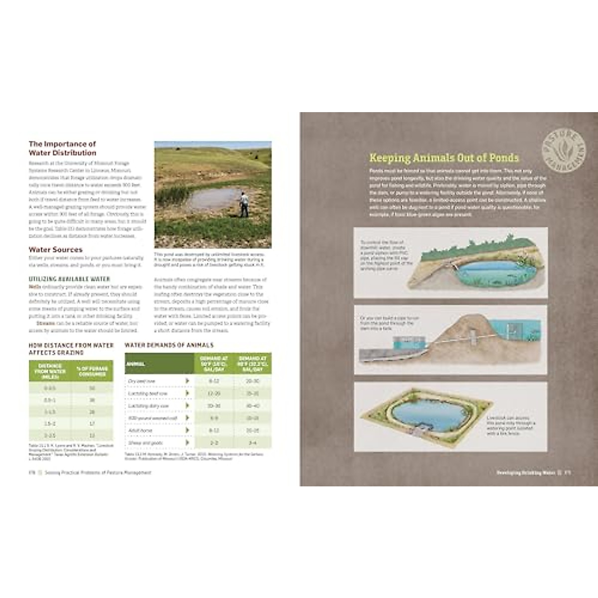 Managing Pasture: A Complete Guide to Building Healthy Pasture for Grass-Based Meat & Dairy Animals