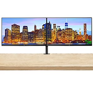 HP Z24i G2 24 Inch 1920 x 1200 IPS LED Backlit Monitor (1JS08A8#ABA) 2-Pack Display Bundle with Desk Mount Clamp Fully Adjustable Dual Monitor Stand
