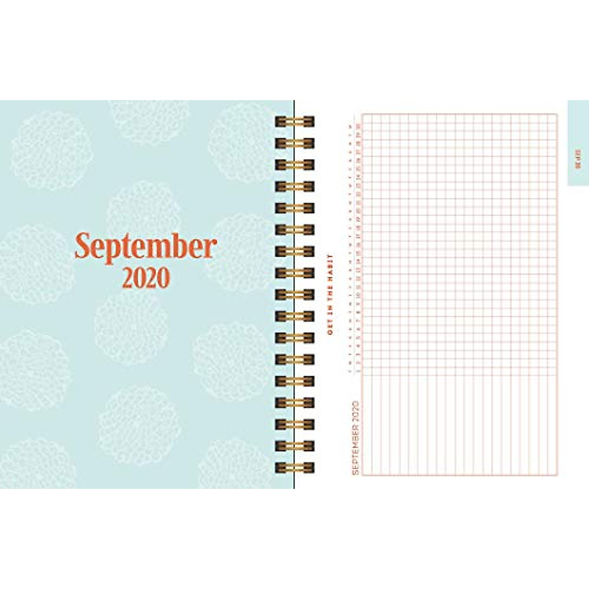 Posh: Deluxe Organizer 17-Month 2020-2021 Monthly/Weekly Planner Calendar: So Much Gratitude