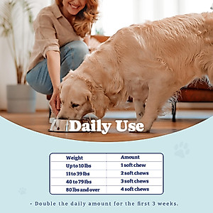 YoYoBay Joint Supplement for Dogs, Hip and Joint Supplement Dogs, Dog Joint Supplement, Glucosamine for Dogs, MSM, Omega-3, 6, 60 Soft Chews