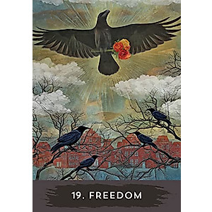 Urban Crow Oracle: A 54-Card Deck and Guidebook