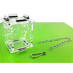 LIANCHI Parrot Creative Foraging Toy Feeder Bird Intelligence Growth Cage Acrylic Box Toys