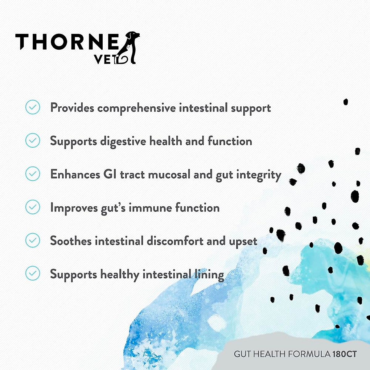 ThorneVet Gut Health Formula – Gastrointestinal Support for Dogs, Cats & Horses, 180 Soft Chews
