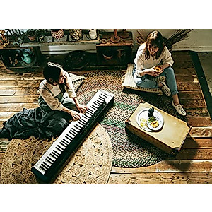 Casio Privia PX-S1100 Digital Piano Bundle with Adjustable Stand, Bench, Sustain Pedal, Instructional Book, DVD, Online Piano Lessons, and Polishing Cloth - Black