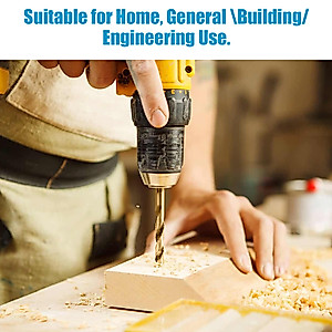 Hex Drill Bit Set, [19+1 PCS] Premium Hex Shank Drill Bit Set, 1/16"-1/4" Drill Bits for Metal, 4241 High Speed Steel Small Drill Bits, Quick Change Drill Bits for Wood, Twist Drill Bit Set