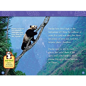 Pandas (National Geographic Kids Readers, Level 2)