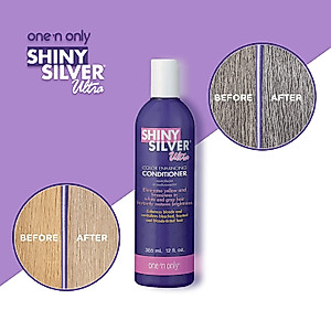 Shiny Silver Conditioner Ultra Color Enhancing 12 Ounce (354ml) (2 Pack)