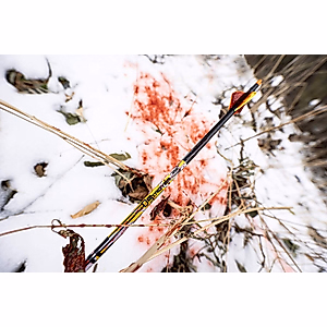 Carbon Express D-Stroyer Hunting Arrow Shafts, 12-Pack, High Modulus Carbon Weave, Dual Spine Weight Forward Technology, Laser Checked, Length 31.5” - 350, 400, or 500 Spine