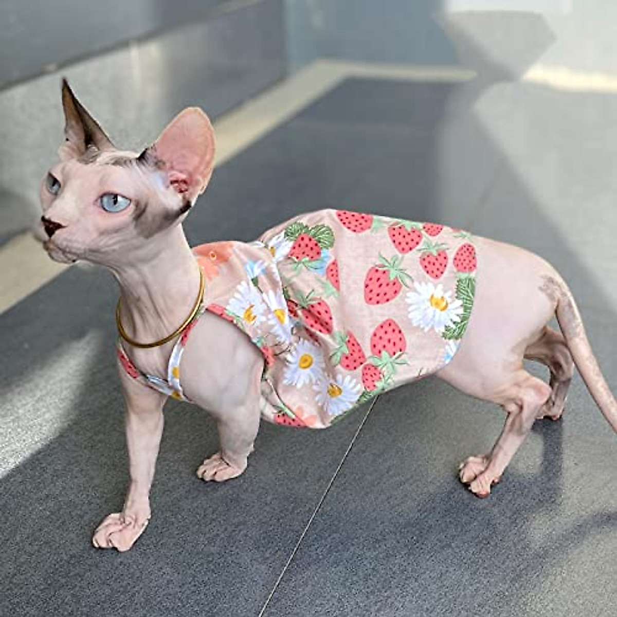 Sphynx Cat Summer Clothes Cute Soft Tank Top Fruit Pattern Cotton Vest Kitten Shirts for Sphynx, Cornish Rex, Devon Rex, Peterbald (L（7.3-9.7lbs）, Big Strawberry)