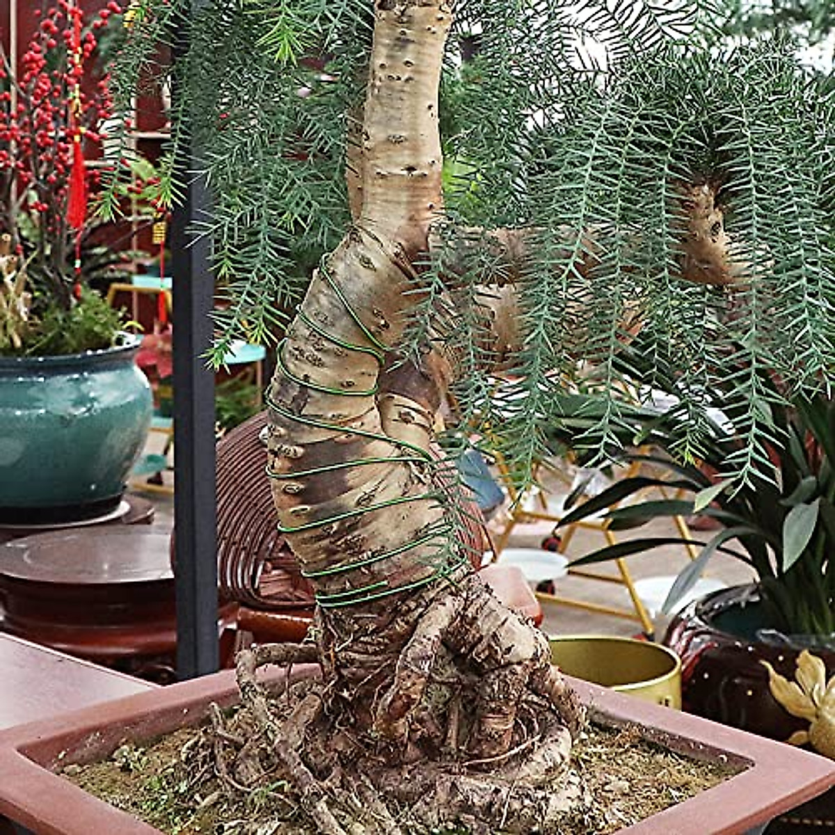 Sanlykate Bonsai Training Wire Kit, 9 Roll Tree Training Wires 295.27 Feet Total, 1.0mm, 1.5mm, 2.0mm Anodized Aluminum Wire Set, Hold Plant Branches Trunks - Green