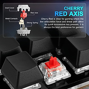 Ecarke Black White 6-Key Gaming Keyboard, USB Mini 6-Key Keypad Mechanical Gaming PC Keyboards Programming Macro with Software OSU HID Standard Keyboard.(Upgrade Cherry Shaft & RGB LED)