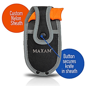 Maxam 5-Inch Skinning Knife with Gut Hook & Sheath - 3.5" 8Cr18MoV Stainless Steel Blade with Bead Blast Finish