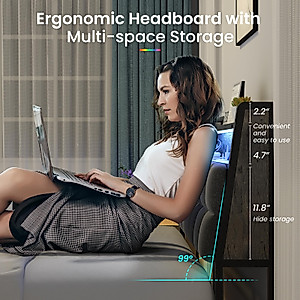 Flexpedic Queen Size Bedframe, Ergonomic Headboard with Multi-Space Storage, Platform Bed Frame Full Size with Charging Station and Adjustable RGB LED Lights, Strong Weight Capacity, Easy Assembly