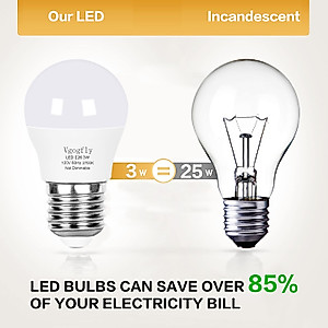 Vgogfly LED Bulb 3W 25 Watt Equivalent Light Bulbs Night Stand Bulb Table Lamp Bulb Warm White 2700K LED Energy Saving E26 Medium Screw Base for Home Light Bulb 4 Pack