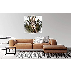 Funny Giraffe Photo on CANVAS Fine Art Print Zoo Animal Photography Children's Room Decor Ready to Hang