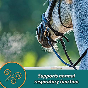 Farnam Cough Free Horse Cough Supplement Pellets, Provides Respiratory Support for Horses with Seasonal Allergies or Stable Cough, 2.5 pounds, 70 Day Supply