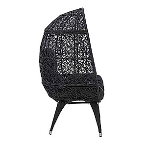 Linon Cloyd Metal Indoor Outdoor Round Chair in Black