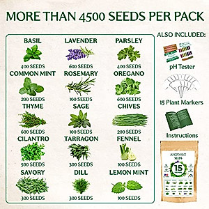 Herb Seeds 15 Variety Pack - Non GMO, Heirloom Seeds for Planting Indoor, Outdoor, and Hydroponic Medicinal Garden - Basil, Cilantro, Mint, Lavender, Rosemary, Dill, Parsley, Thyme, Sage, and More