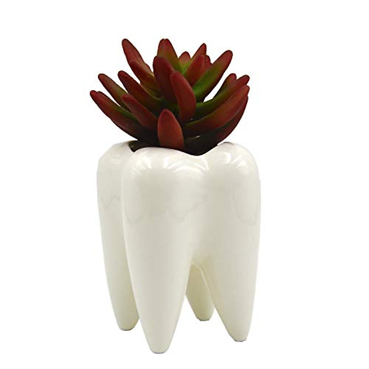 4.7" Tooth Planter Pot/Bonsai Pot/Succulent Planter/Pencil Cup/Toorhbrush Holder 3D Shaped Multipurpose