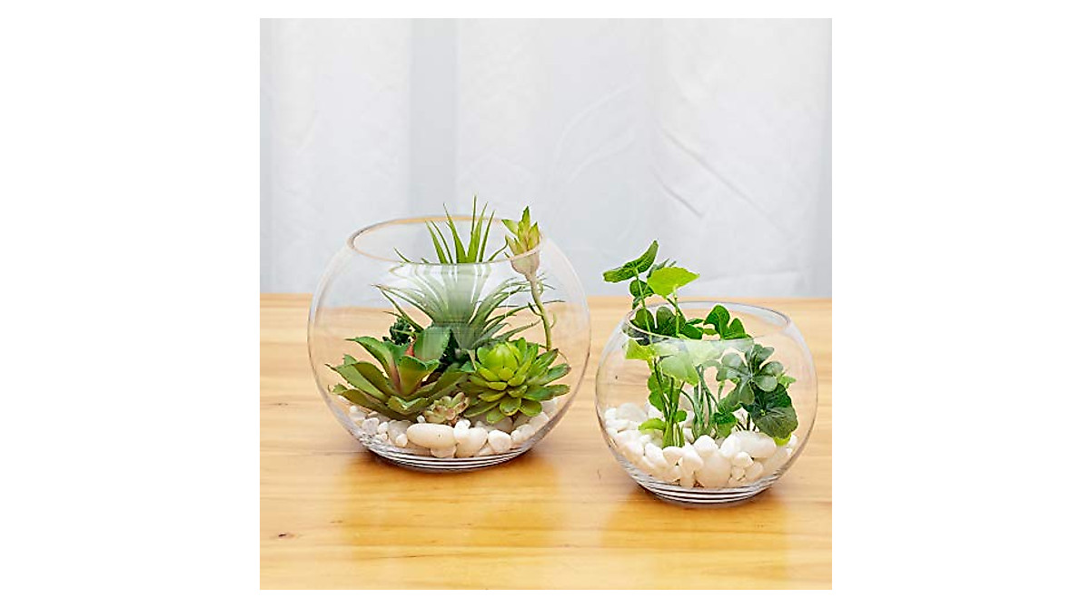 Stylish WGV Bowl Glass Vase for Home Decor