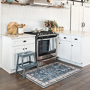 Seavish Small Entryway Rug 2x3 Rug Soft Kitchen Rugs Low Pile Doormat Boho Accent Throw Rugs with Rubber Backing Washable Blue Area Rug Floor Carpet for Bathroom Sink Bedroom Entrance