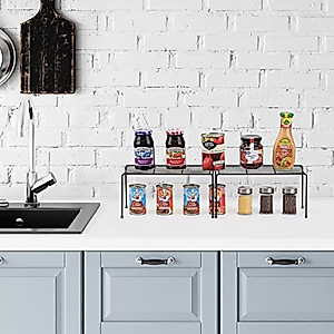 Mini Mesh Kitchen Shelves,Cabinet Storage Shelf Rack, Cabinet Organization ,Kitchen Bathroom Pantry Cupboard Desk Home Office, Fridge, Cabinet, Bathroom Cupboard, Non-slip Plastic Feet (6, Black)