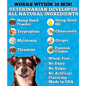 Well Loved Calming Chews for Dogs - Dog Calming Treats, Made in USA, Vet Developed, Dog Anxiety Relief, Separation, Fireworks, Travel & Stress Support, Melatonin, Natural & Holistic, 90 Calming Treats