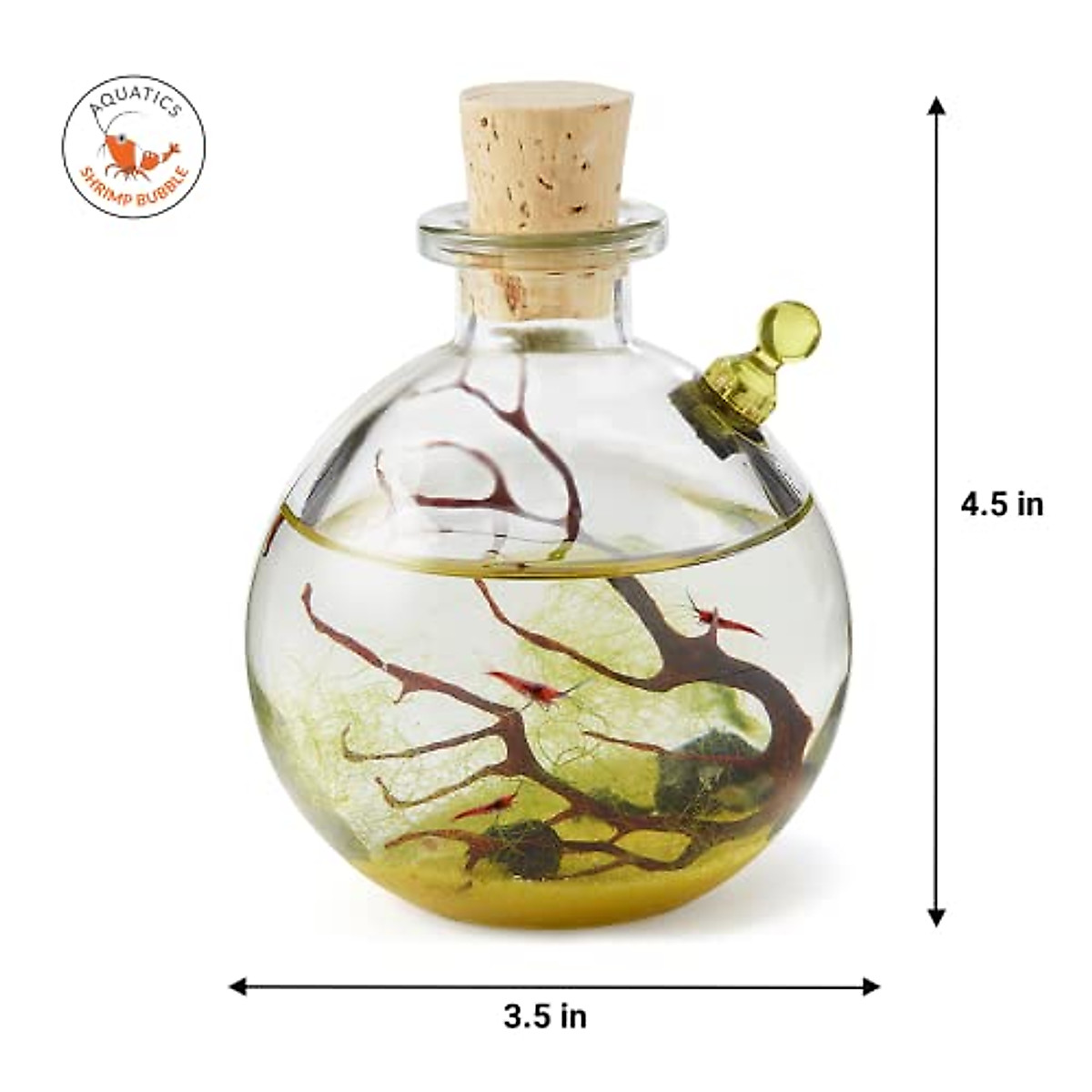 Shrimp Bubble Self-Sustaining Ecosystem - Natural. Contains Live Opae Ula Shrimp