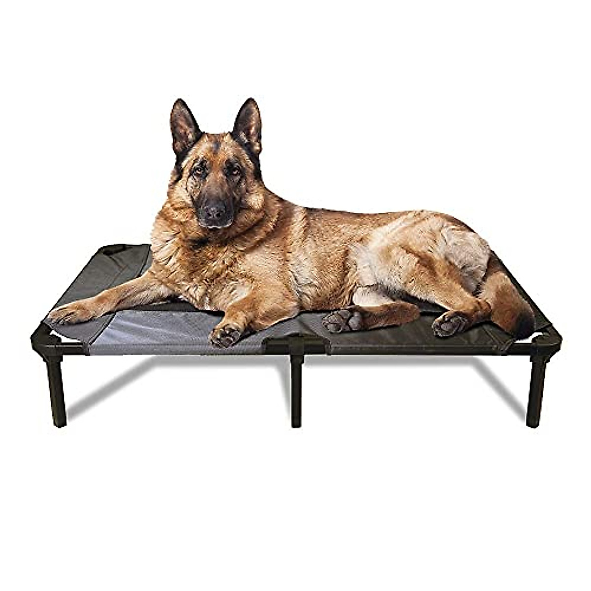 Lucky Dog 48'' Elevated Pet Bed Cot | Indoor & Outdoor Use | Gray
