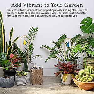 4 Pcs Small Metal Trellis for Potted Plants Mini Gold Houseplant Trellis Support with Agate Plant Trellis for Climbing Plants Indoor Hoya Vine Pothos Flower Garden Potted Plant Decor