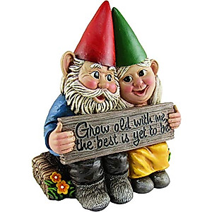 DWK - Growing Old Together - Garden Gnome Couple in Love Collectible Figurine Best Friends Lovers Romantic Statue Indoor Outdoor Garden Patio Home Décor, 5.75-inch