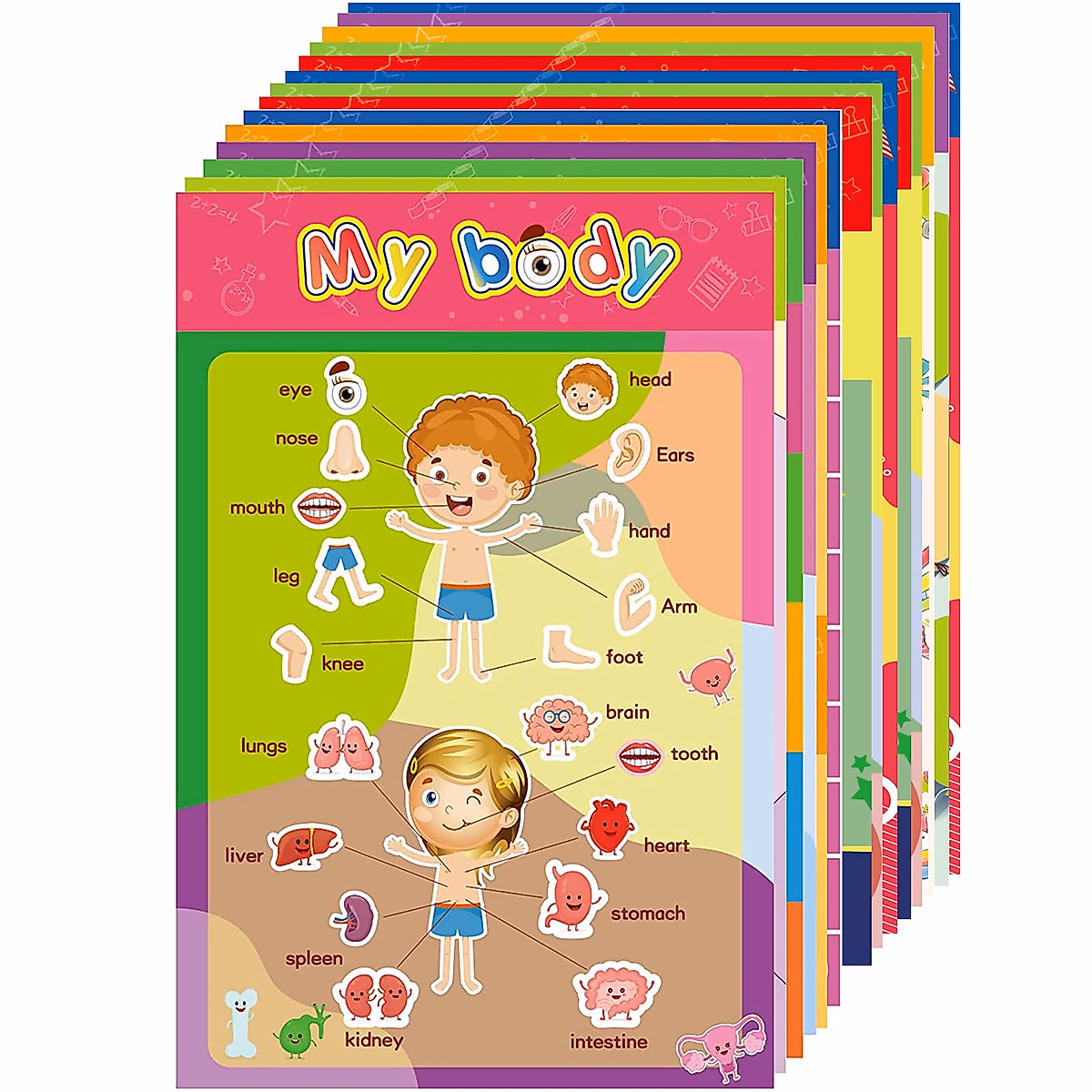 Choclaif Educational Posters for Kindergarten, Elementary School. Classroom Posters with Glue Point Dot for Classroom Decor, Preschool Learning Activities, and Homeschool Supplies(14PCS)