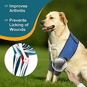 Dollephi Dog Elbow Protector for Shoulder and Front Leg, Dog Recovery Sleeves Support Pet Wounds Prevent Licking, Elbow Pads Injury and Loss of Stability from Arthritis（XL,Blue