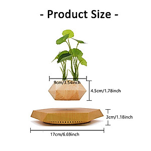 KIYOMING Levitating Plant Pot Hexagon Floating Air Bonsai Pot Suspension Flower Pot Planter for Office Home Decoration
