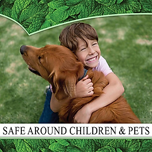 Puremint Rodent Repellent, Natural 5% Peppermint Oil Spray for Mice, Rats, Chipmunks and Rodents, Indoor and Outdoor, House and Car Engine Use, 128 fl oz Gallon