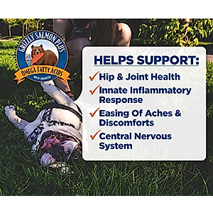Grizzly Wild Alaskan Salmon Oil Dog Food Supplement Omega 3 Fatty Acids, 16 oz