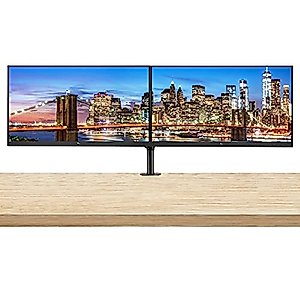 HP EliteDisplay E24 G4 24 Inch IPS LED Backlit Monitor 2-Pack Bundle with FHD 1920 x 1080, Blue Light Filter, HDMI, VGA, DisplayPort, Fully Adjustable Desk Mount Monitor Stand