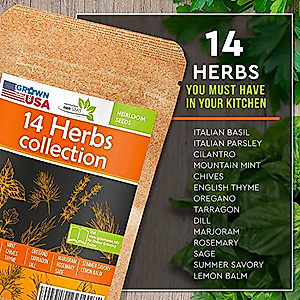 14 Culinary Herb Seeds Pack - Heirloom and Non GMO, Grown in USA - Indoor or Outdoor Garden - Basil, Parsley, Dill, Cilantro, Rosemary, Mint, Thyme, Oregano, Marjoram, Tarragon, Chives, Sage & More